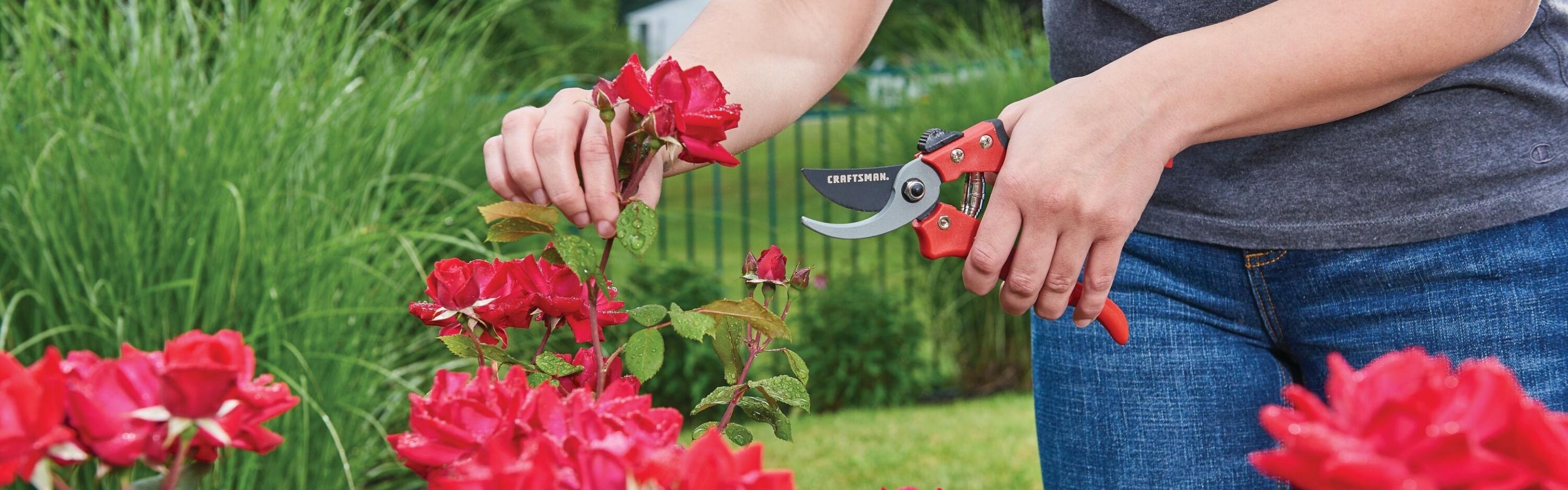 Gardening Tools Rakes Shovels Pruning More CRAFTSMAN CRAFTSMAN